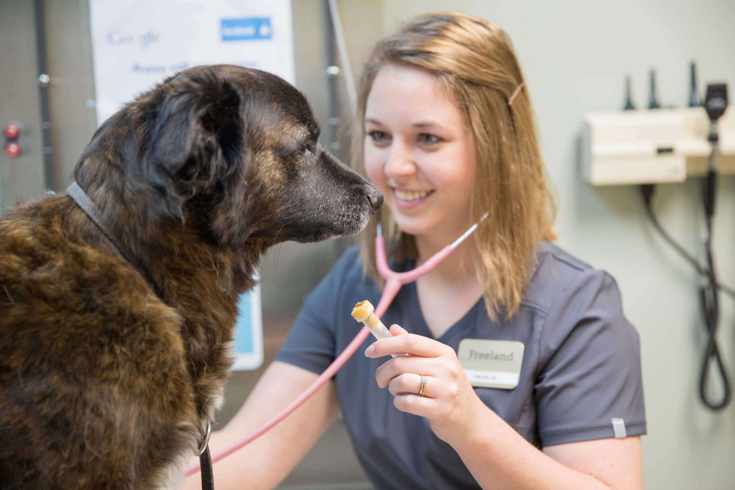 Join Our Team - Freeland Animal Hospital