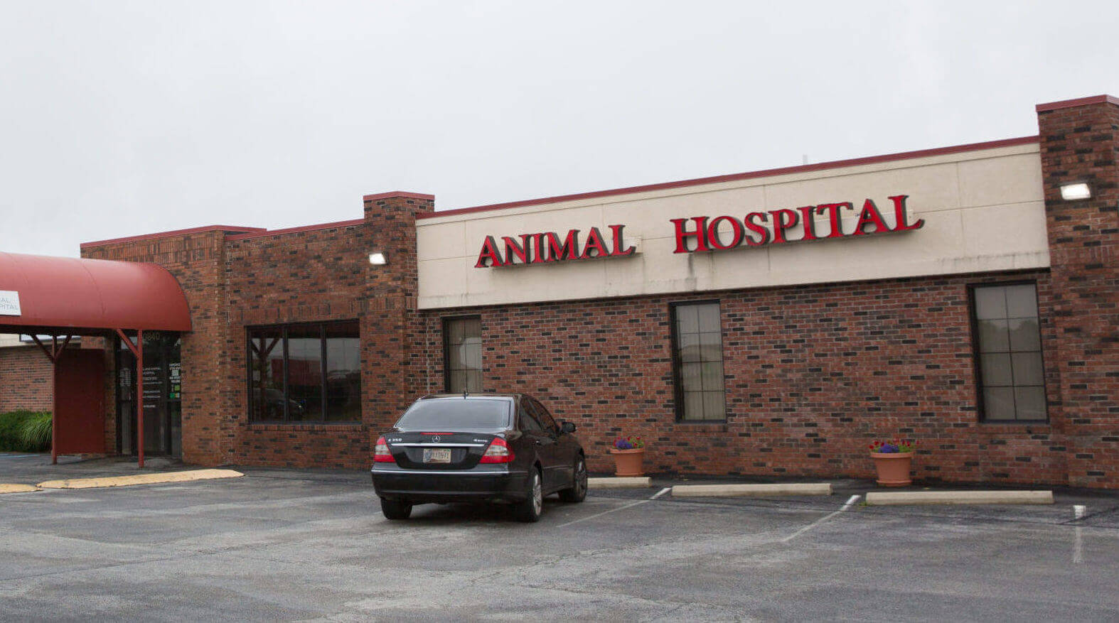 Veterinarians in Indianapolis, Indiana | Freeland Animal Hospital